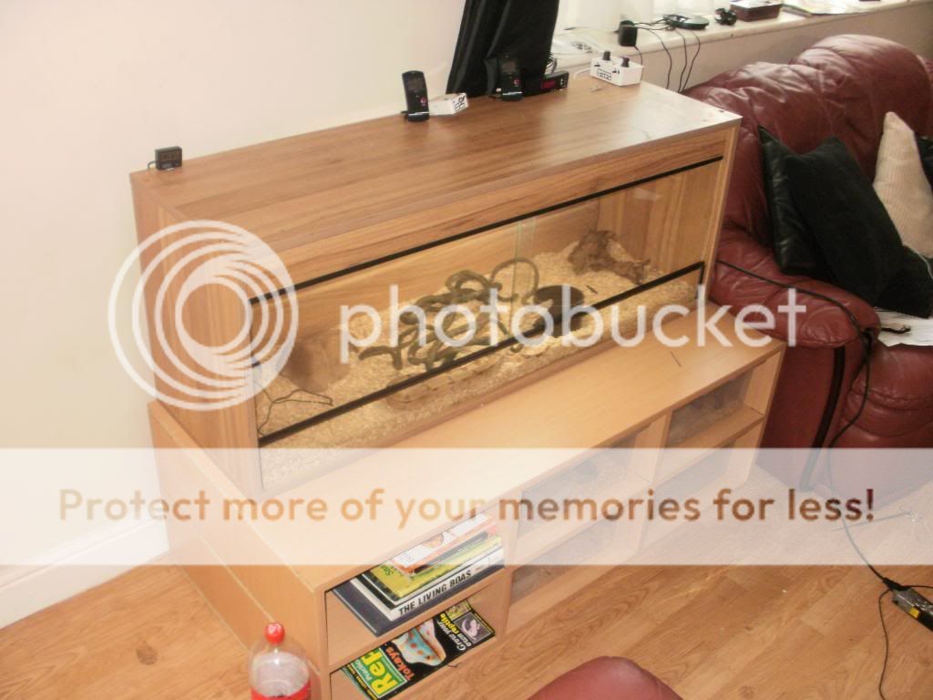 Wanted pictures of rub racks | Reptile Forums